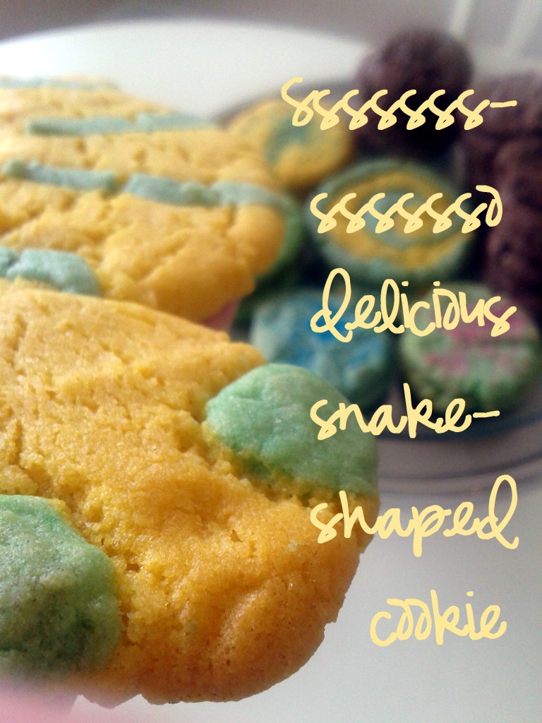 Kid Fun: Sugar Cookies {kicked up a notch} | CampClem