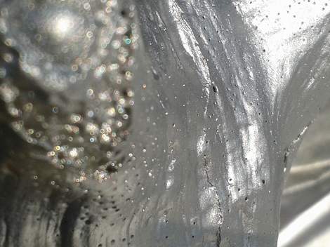 Goodwill Conch Shell {plus a little spraypaint} | CampClem